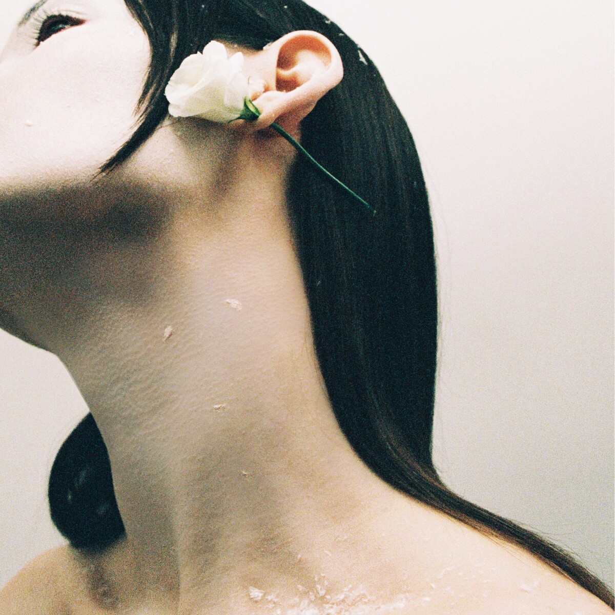 Adore You by Rosa Damask (Album, Post-Punk): Reviews, Ratings, Credits ...