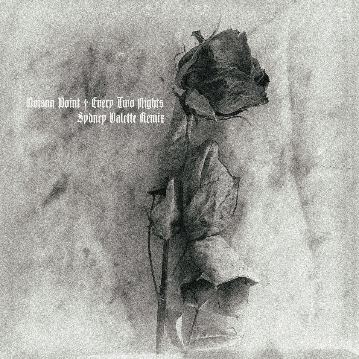 Every Two Nights (Sydney Valette remix) by Poison Point (Single ...