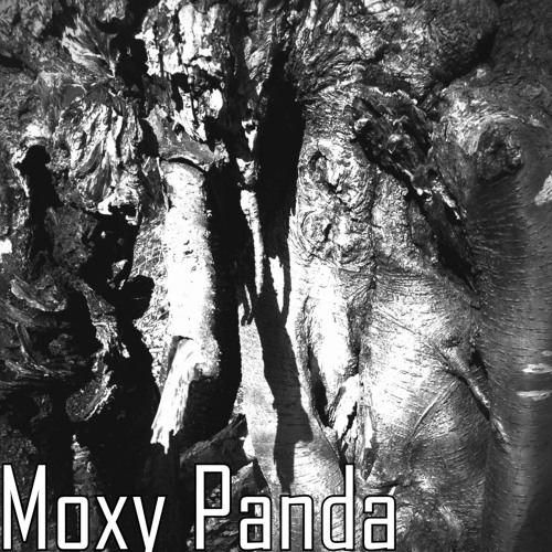 Nothing Girl by Moxy Panda (Single): Reviews, Ratings, Credits, Song ...