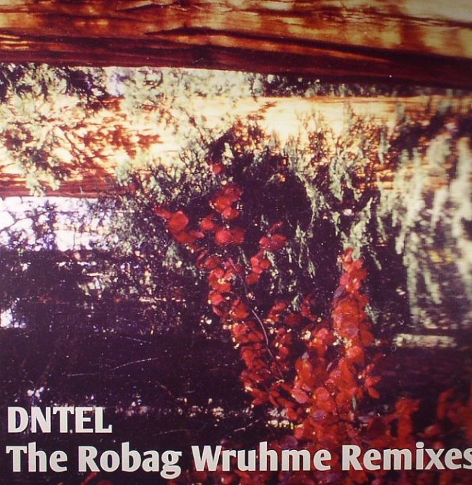 The Robag Wruhme Remixes by Dntel (EP): Reviews, Ratings, Credits, Song ...