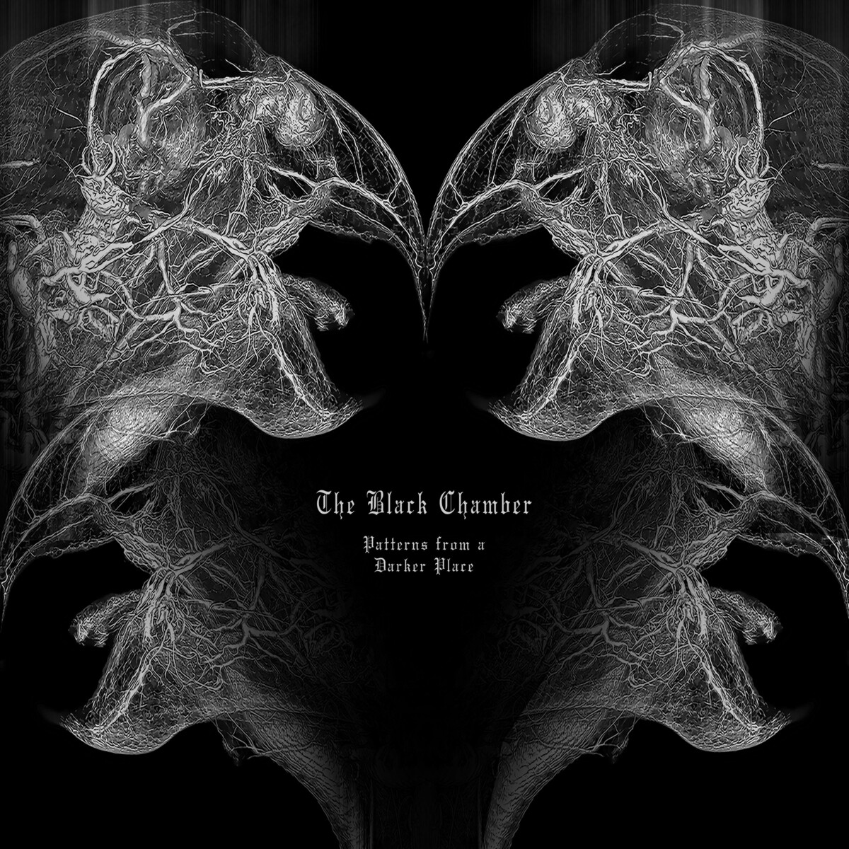 Patterns From a Darker Place by The Black Chamber (Single): Reviews ...
