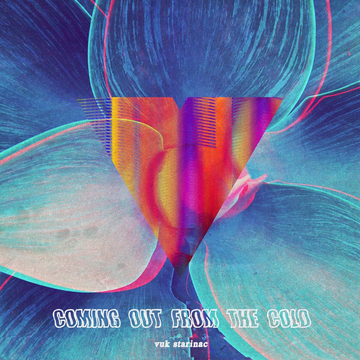 Coming Out From the Cold by Vuk (Album, Instrumental Hip Hop): Reviews ...