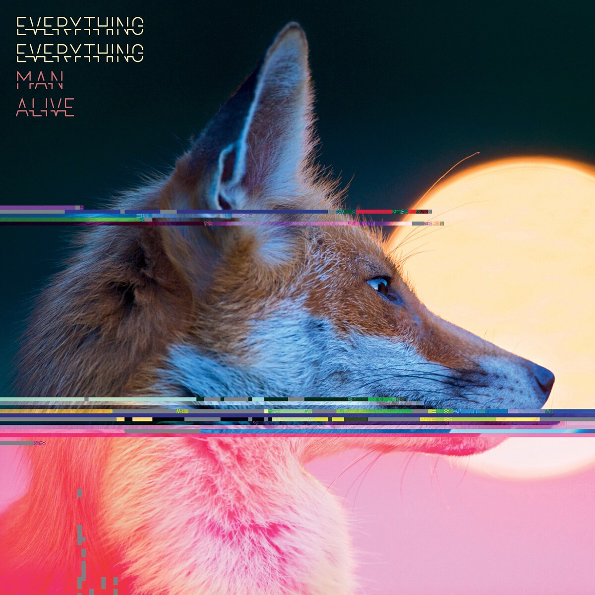 Riot on the Ward by Everything Everything (Single, Art Pop): Reviews ...