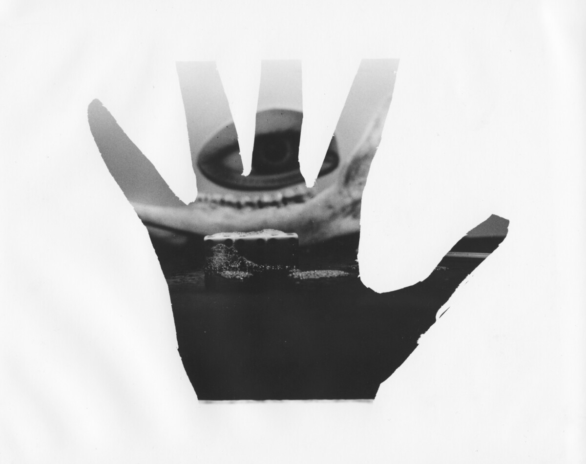 Jonah Siegel by Jonah Siegel (EP): Reviews, Ratings, Credits, Song list - Rate Your Music