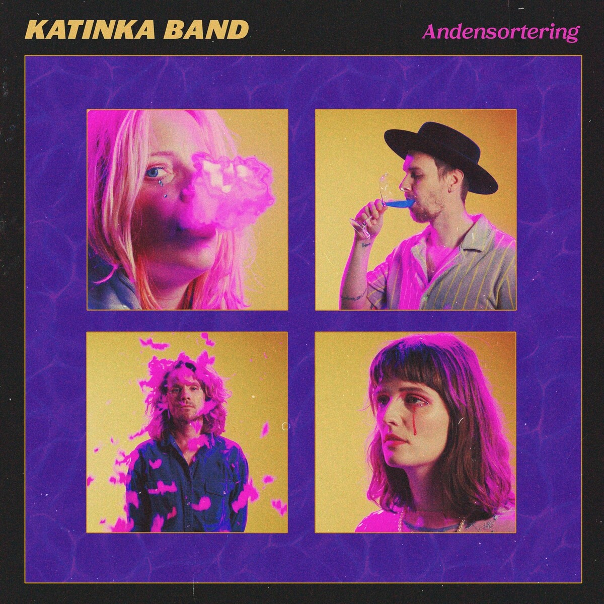 Andensortering by Katinka Band (Single): Reviews, Ratings, Credits ...