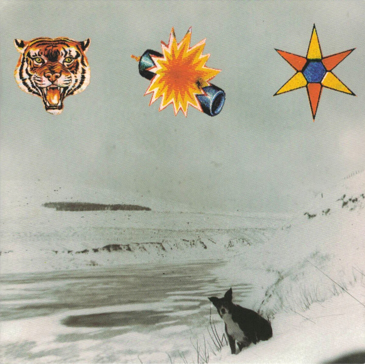 The Beta Band Albums: songs, discography, biography, and listening ...