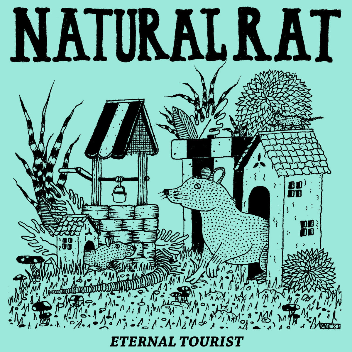 Natural Rat Albums: songs, discography, biography, and listening guide ...