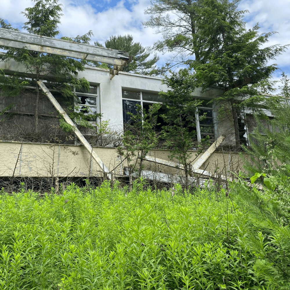 flyingfish Albums: songs, discography, biography, and listening guide ...