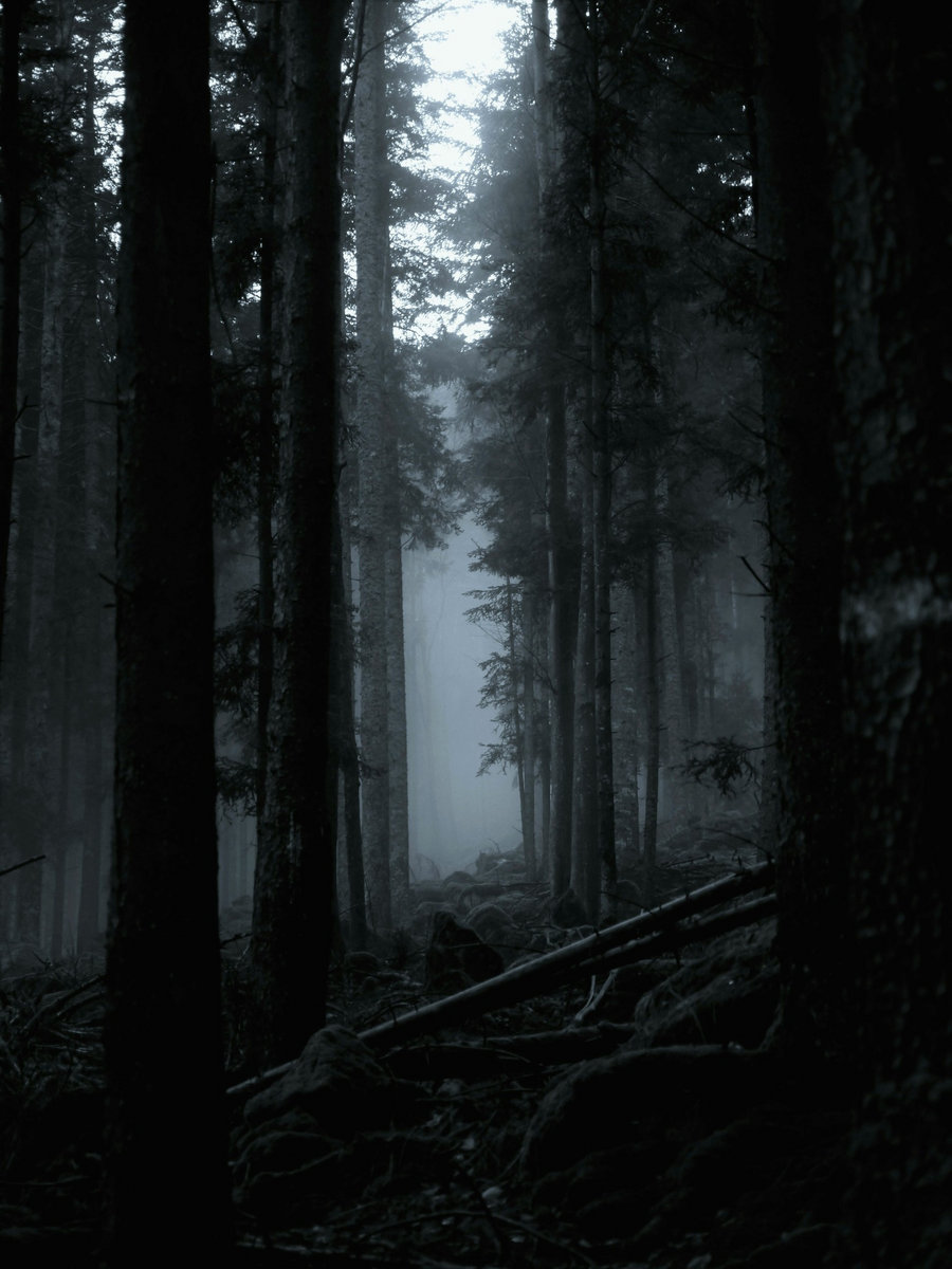 Riyrsg (Perpetual Failure) by Esoctrilihum (Single, Atmospheric Black ...