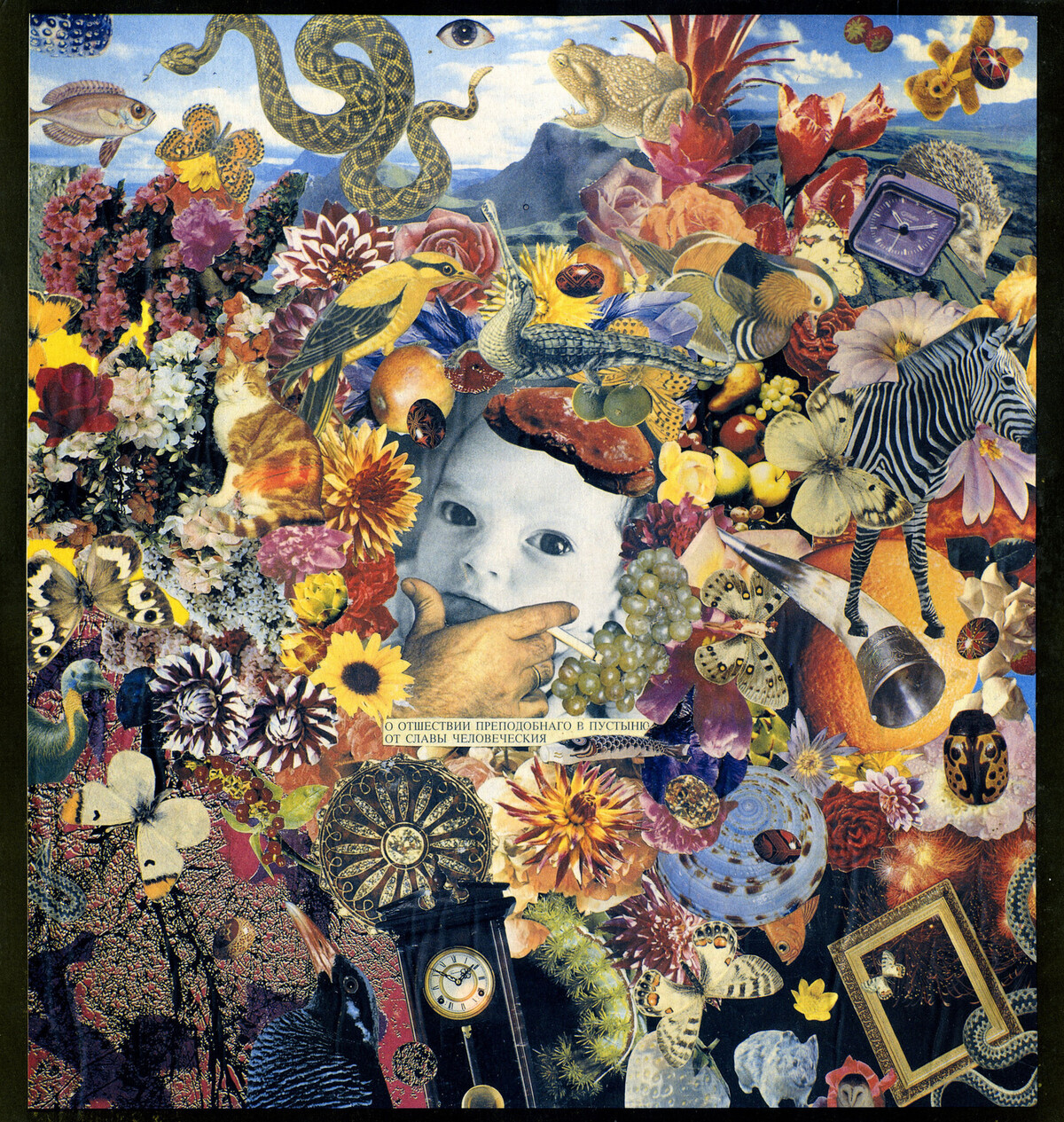 Best Siberian Punk albums of all time - Rate Your Music