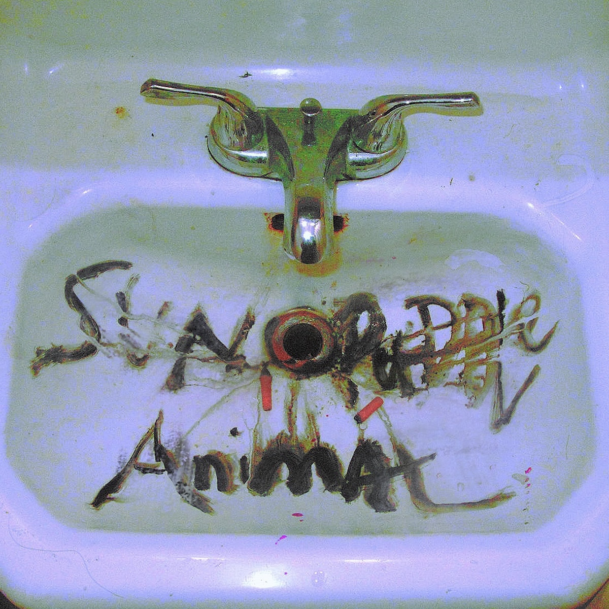 Animal by Sun Puddle (Single): Reviews, Ratings, Credits, Song list ...