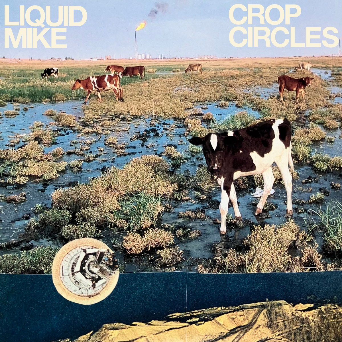 Crop Circles by Liquid Mike (Single, Power Pop): Reviews, Ratings ...