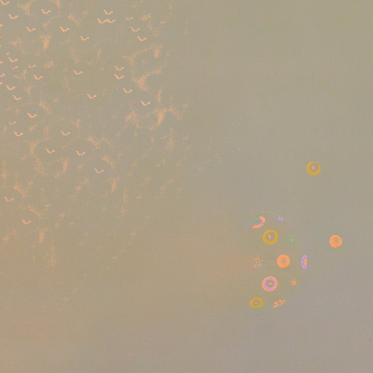 Pango Albums: songs, discography, biography, and listening guide - Rate ...