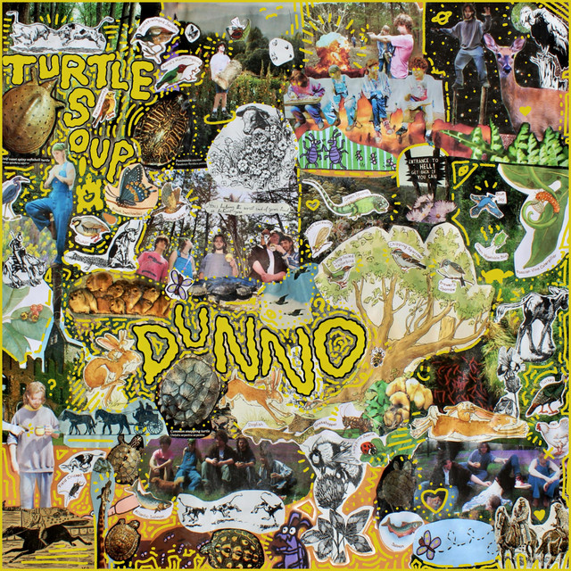 DUNNO by Turtle Soup (Album): Reviews, Ratings, Credits, Song list ...