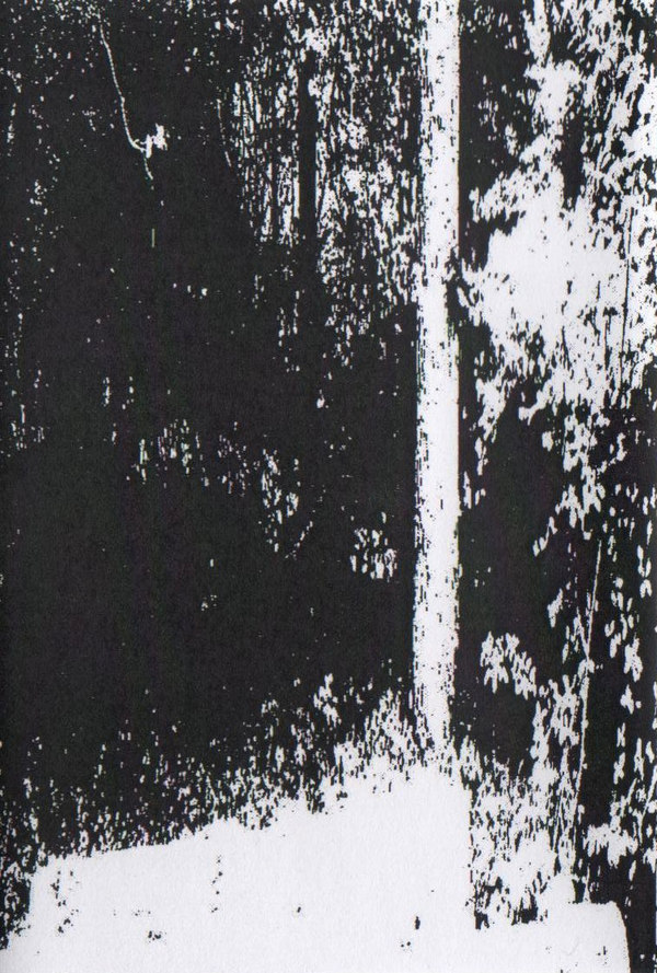 The Light Through the Trees (Part III) by Forest Grave (EP, DSBM ...