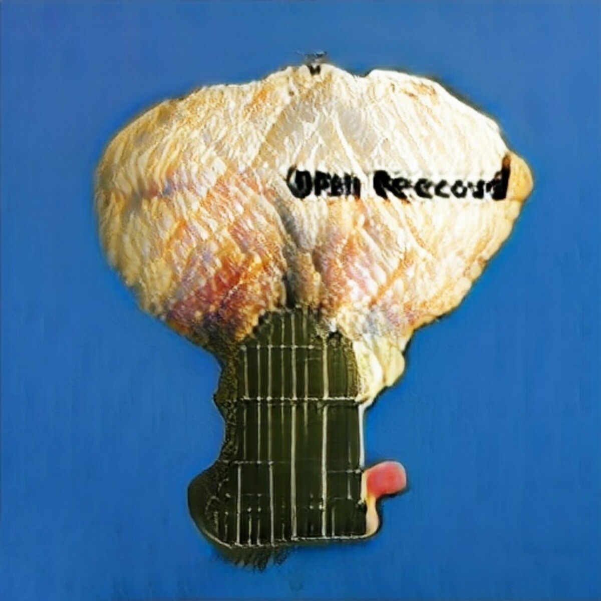 Open Record by weatherwriter (Album; no catalog number): Reviews ...