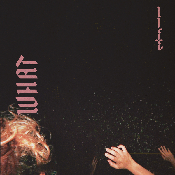 Club Night Albums: songs, discography, biography, and listening guide ...