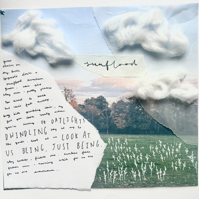 Sunflood by Lexie Carroll (EP): Reviews, Ratings, Credits, Song list ...