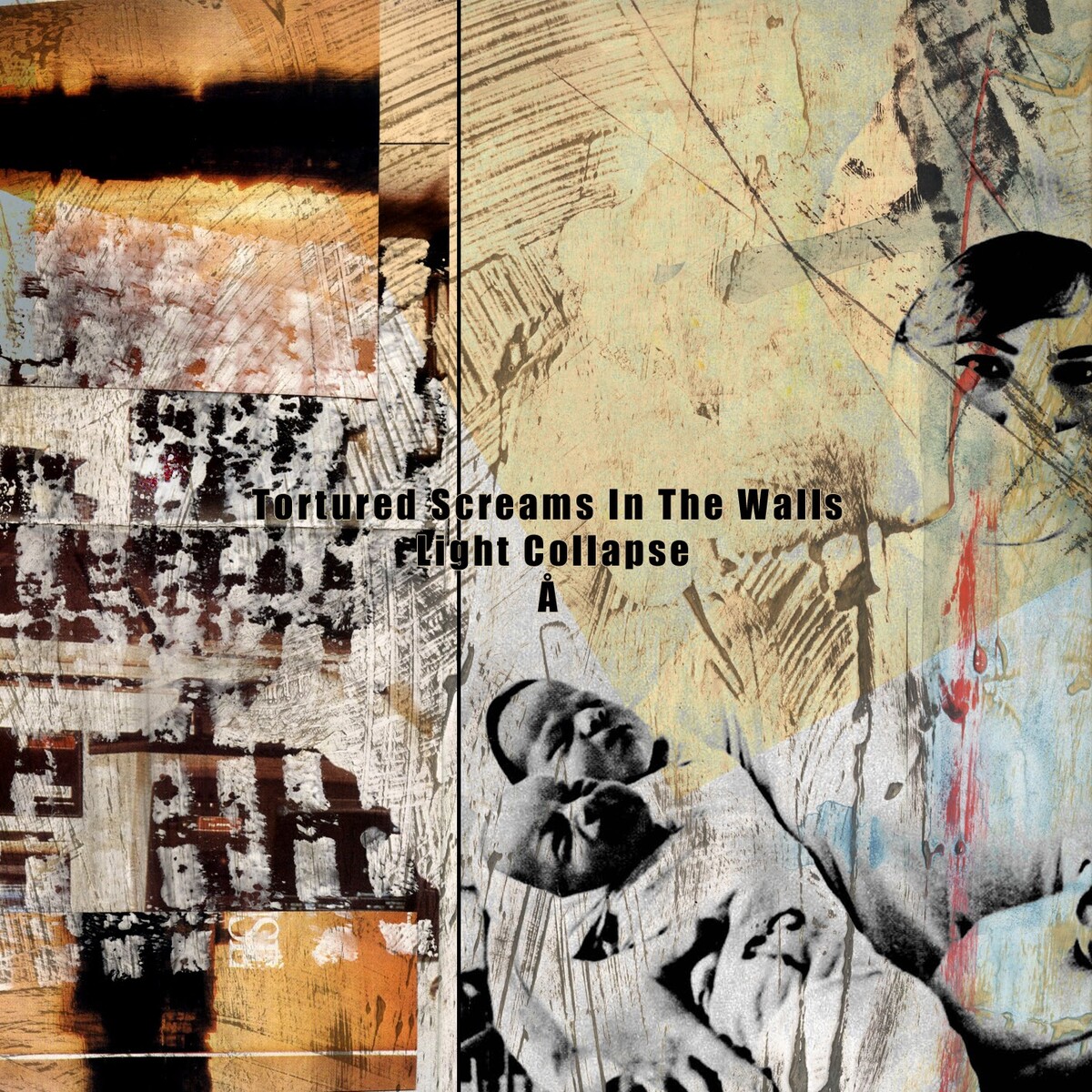 Tortured Screams in the Walls / Light Collapse / Å by Tortured Screams ...