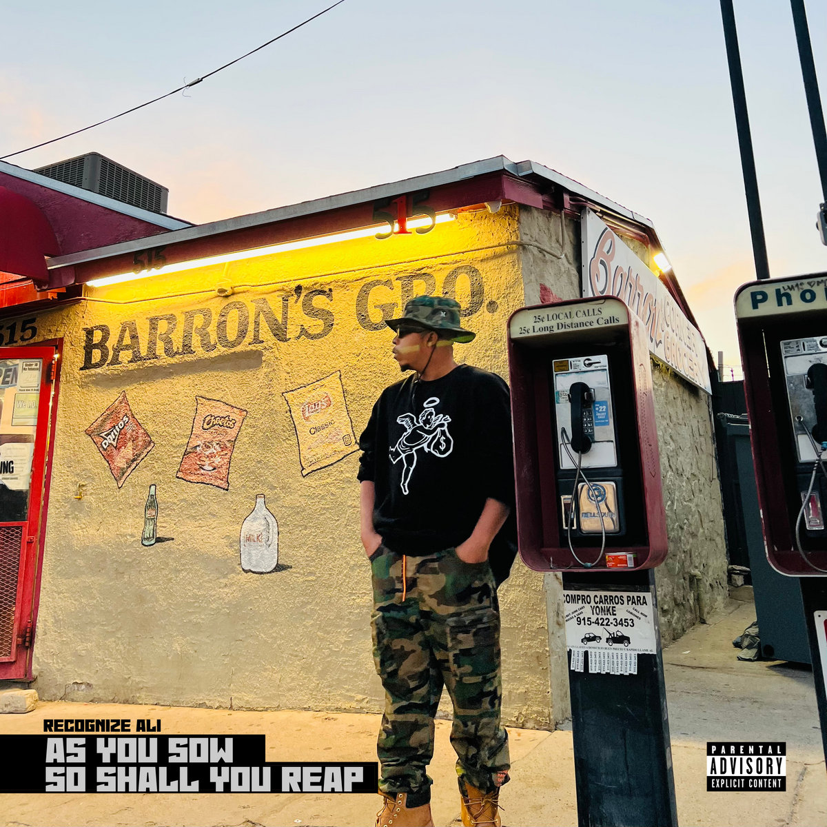 As You Sow So Shall You Reap by Recognize Ali (Album): Reviews, Ratings ...