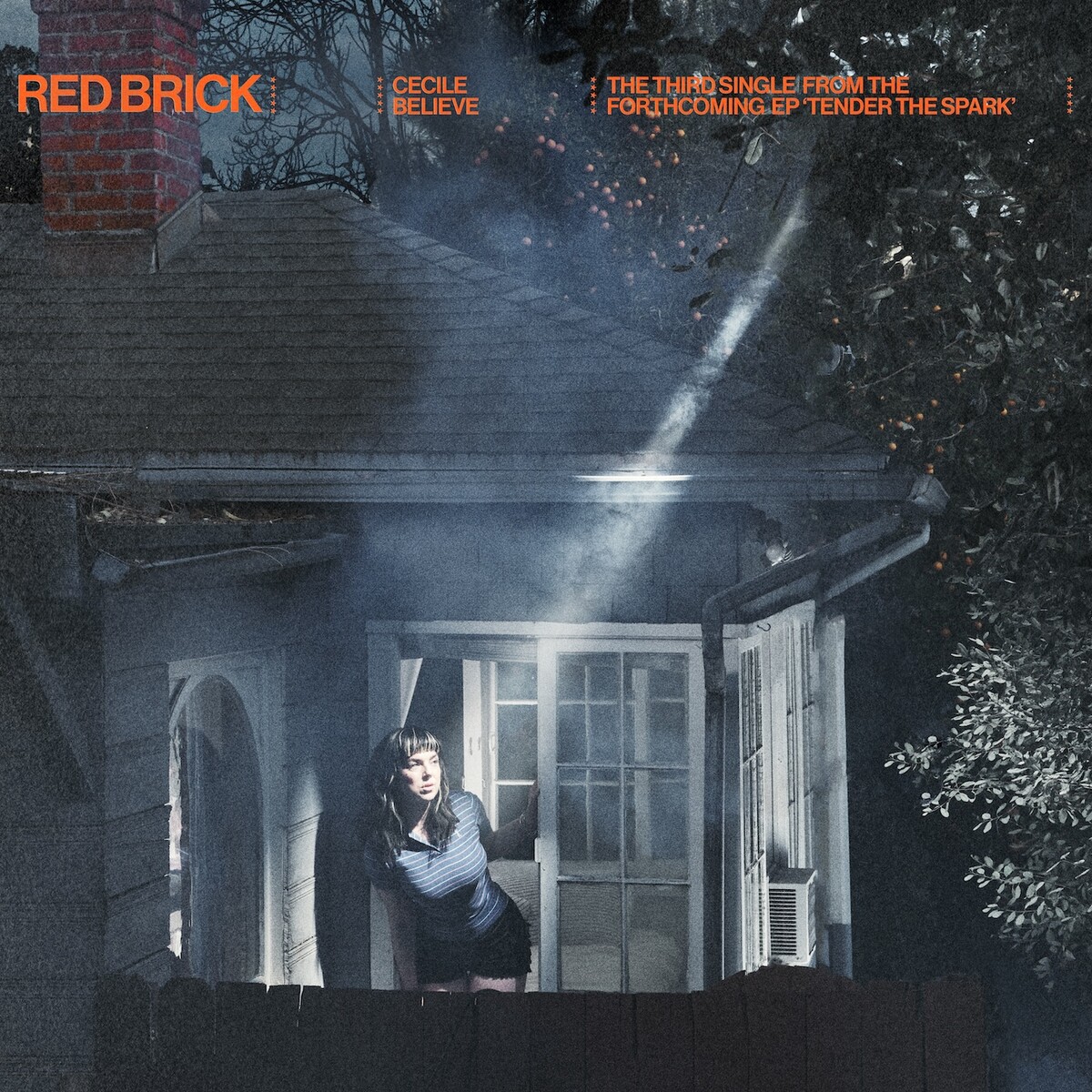 Red Brick by Cecile Believe (Single; ambient tweets): Reviews, Ratings ...