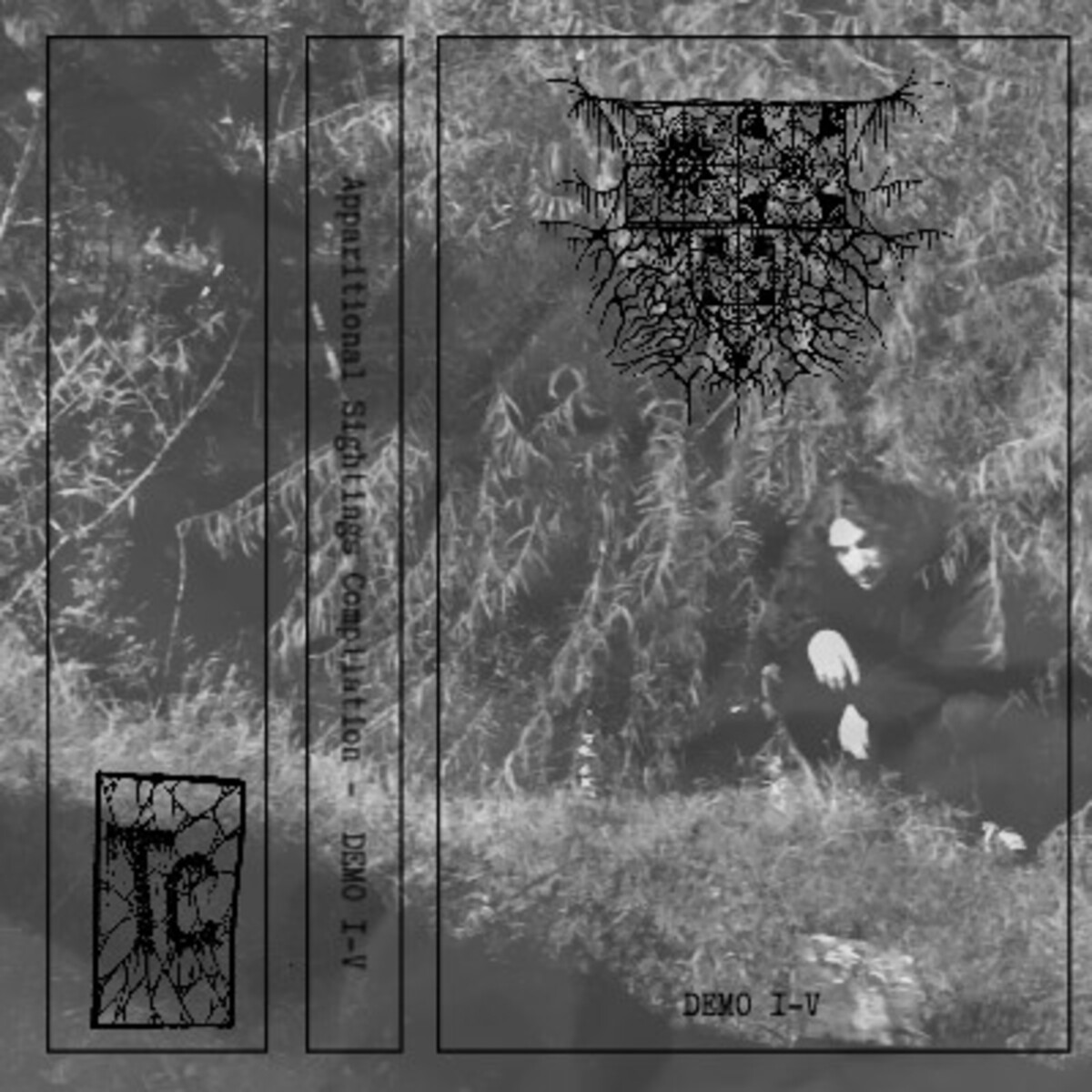 Apparitional Sightings Compilation Demo I-V by Taforalt Cave ...