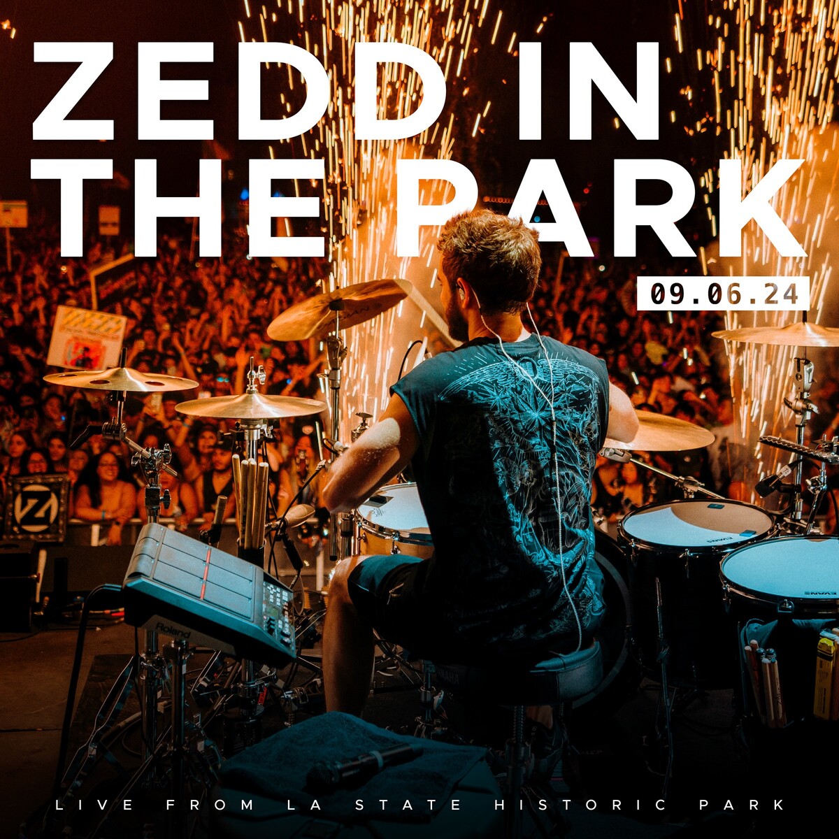 Zedd in the Park 2024 by Zedd (DJ Mix): Reviews, Ratings, Credits, Song ...