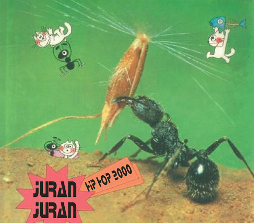 Juran Juran Albums: songs, discography, biography, and listening guide ...