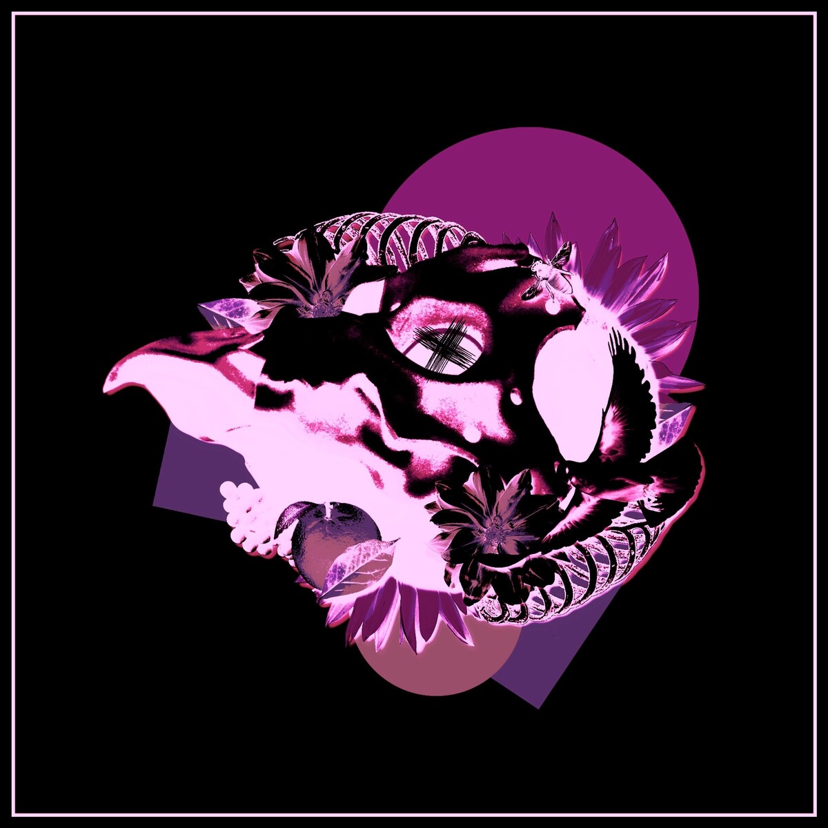 Black Numbers by Shurk (Single): Reviews, Ratings, Credits, Song list ...