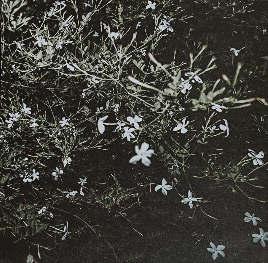 Best Italian Music albums of the 2020s - Rate Your Music