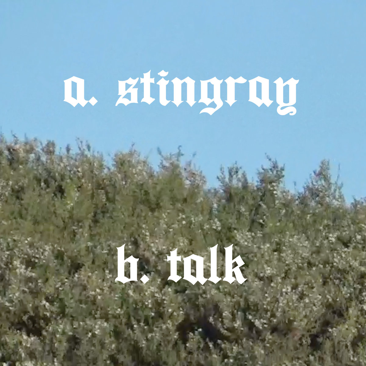 Stingray / Talk by Chetch (Single): Reviews, Ratings, Credits, Song ...