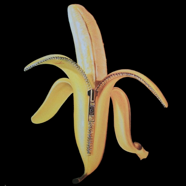 Welcome to the Monkey House by The Dandy Warhols (Bootleg; (Counterfeit ...