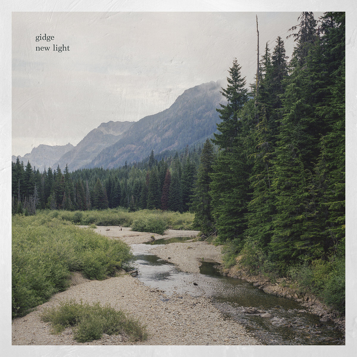 New Light by Gidge (Album, Ambient House): Reviews, Ratings, Credits ...