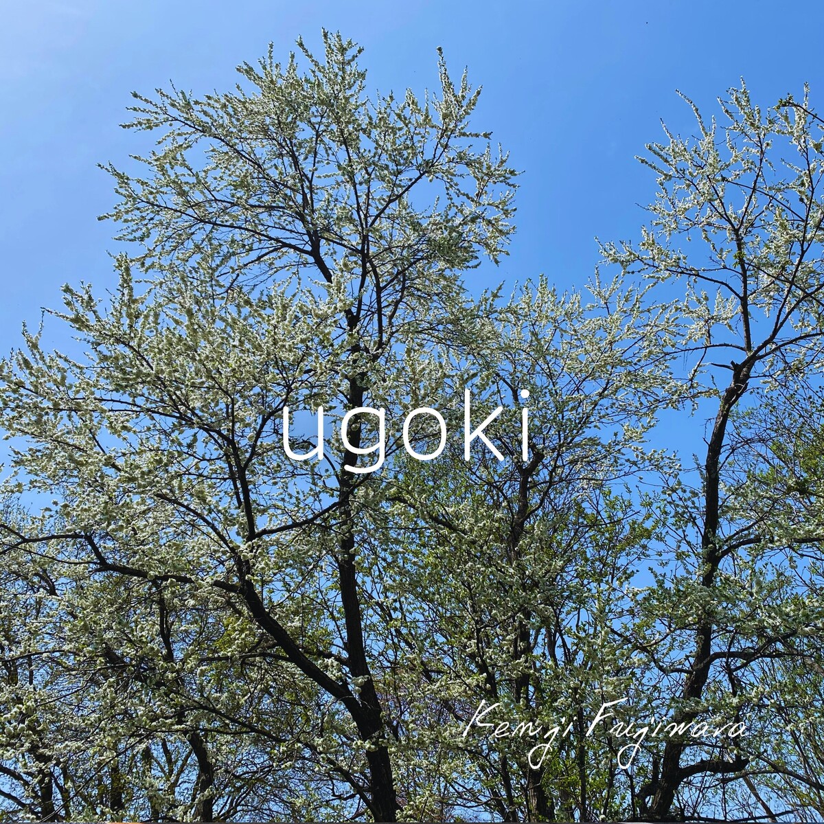 Ugoki by Kenji Fujiwara (Album): Reviews, Ratings, Credits, Song list ...