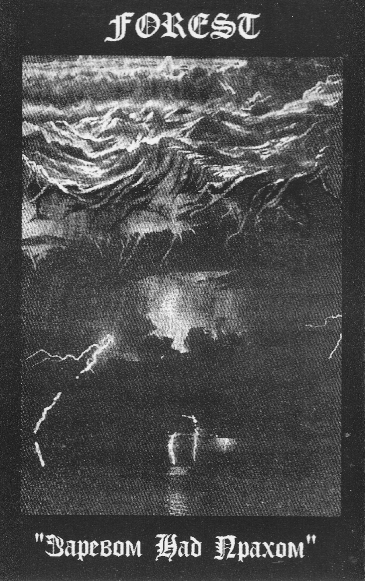 Forest Albums: songs, discography, biography, and listening guide ...