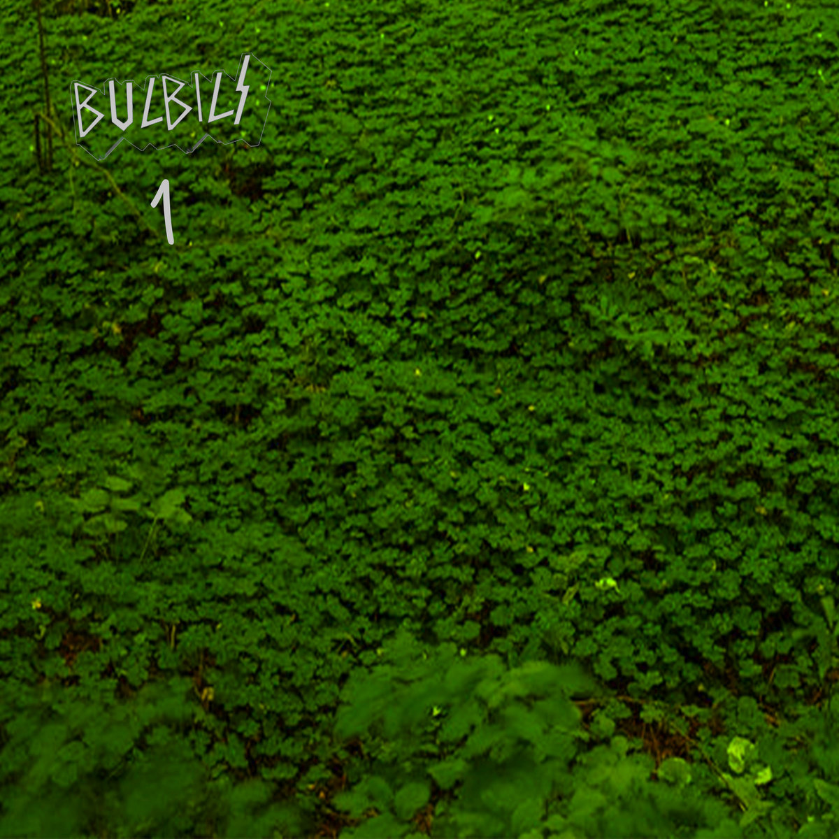 Bulbils Albums: songs, discography, biography, and listening guide ...