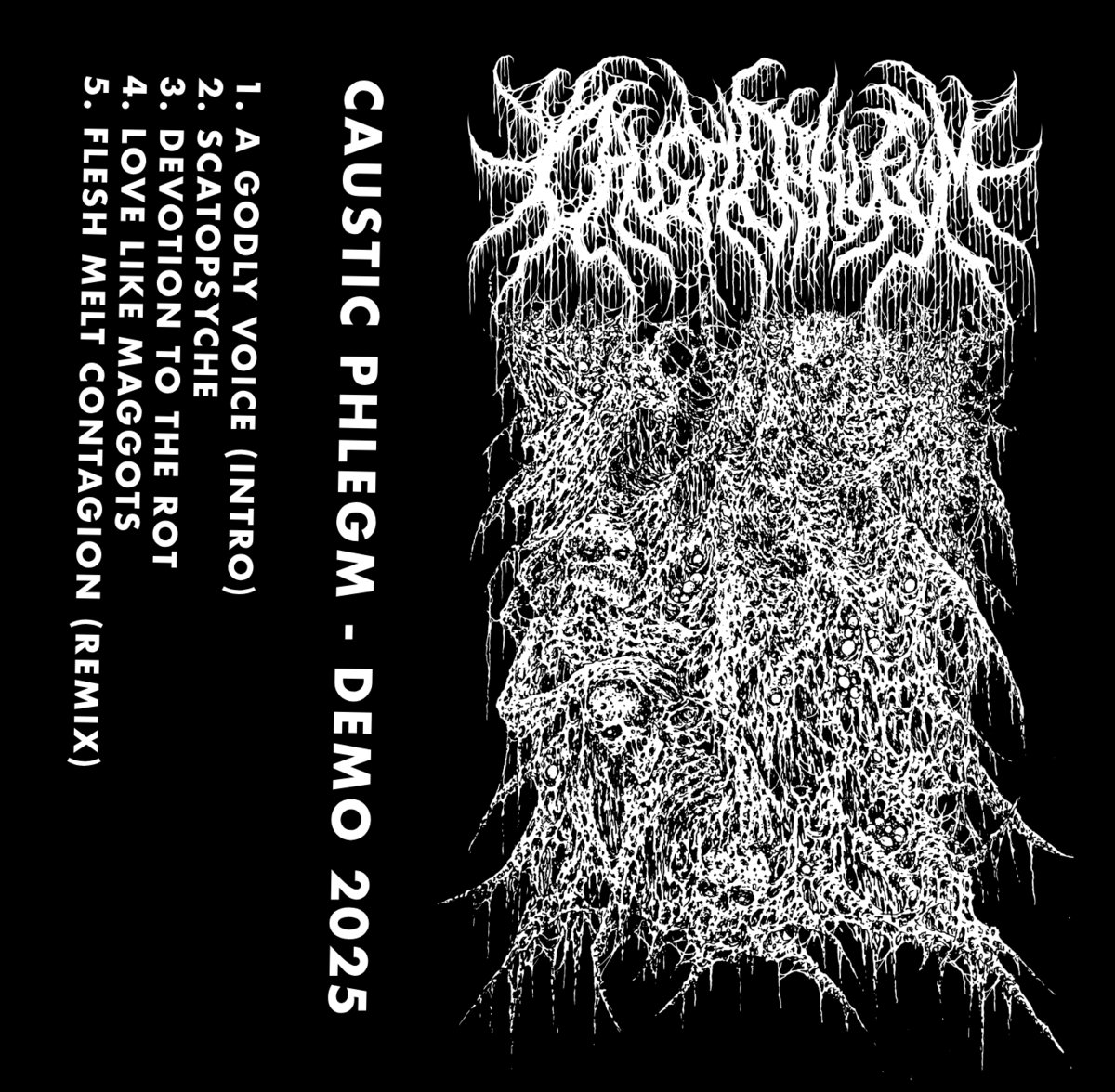 Demo 2025 by Caustic Phlegm (Additional release): Reviews, Ratings, Credits, Song list - Rate ...
