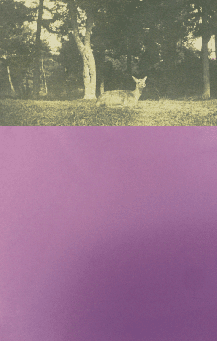 『Piano Trilogy』- 432Hz As it is, As you are - by Tomoyoshi Date (Album): Reviews, Ratings ...