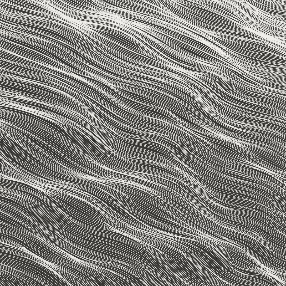 Sunlight Echoes by Whitelands (Album): Reviews, Ratings, Credits, Song ...