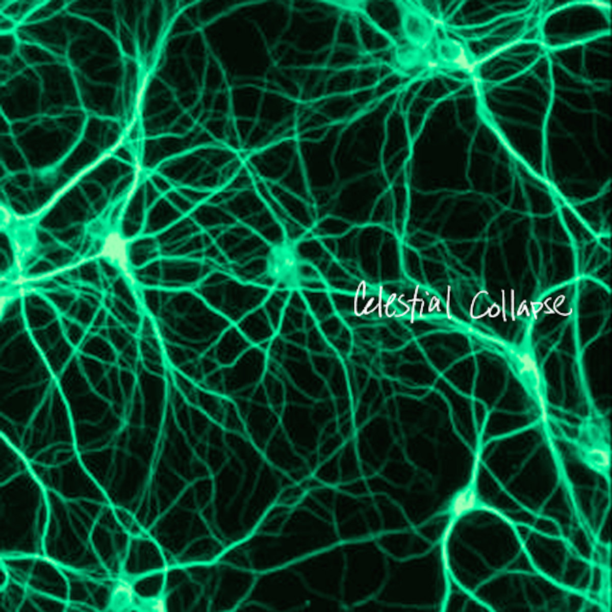 Celestial Collapse By Syntax Ep Grindcore Reviews Ratings Credits