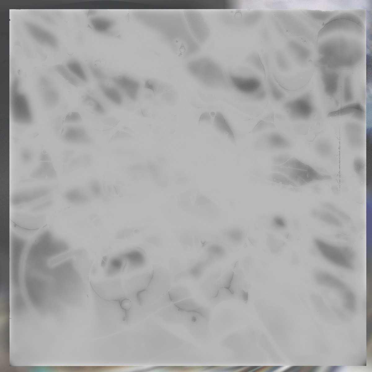 SWIRL by Nexcyia (Single, Ambient): Reviews, Ratings, Credits, Song ...