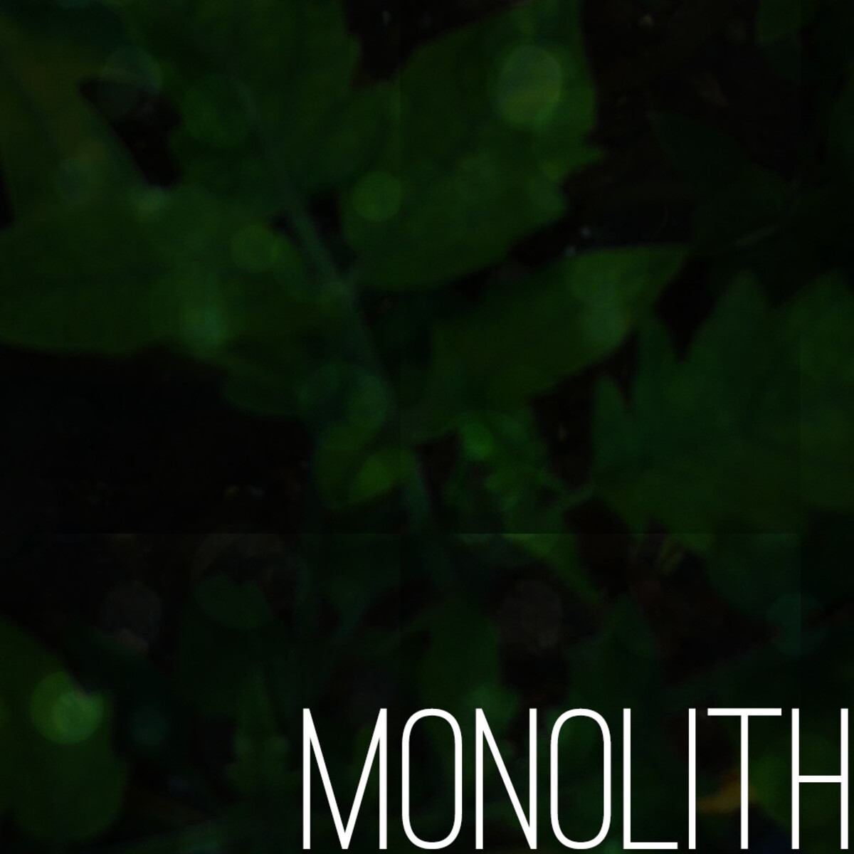 MONOLITH by D. Richardson (Album): Reviews, Ratings, Credits, Song list ...