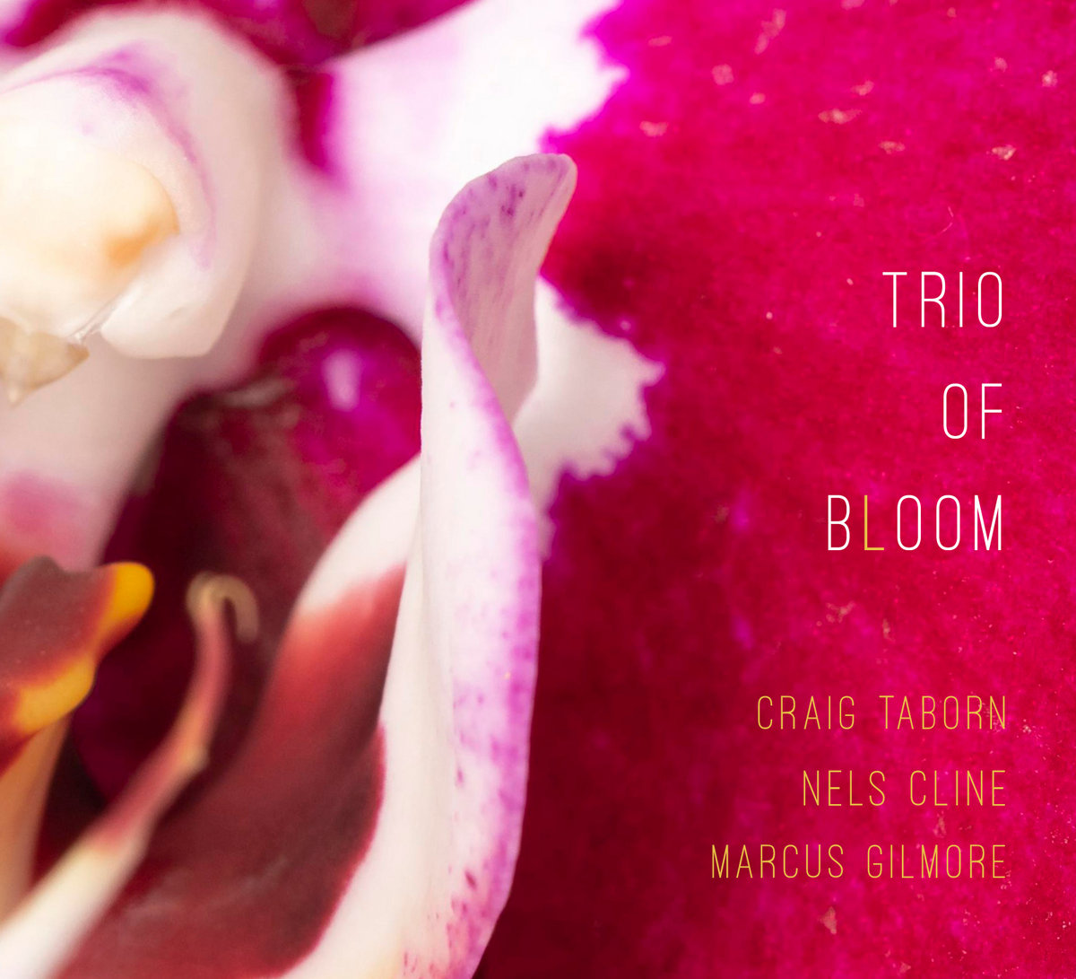 Trio of Bloom by Trio of Bloom (Album): Reviews, Ratings, Credits, Song ...