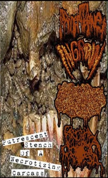 Putrescent Stench of a Necrotizing Carcass by Fermentative / Ingrown ...