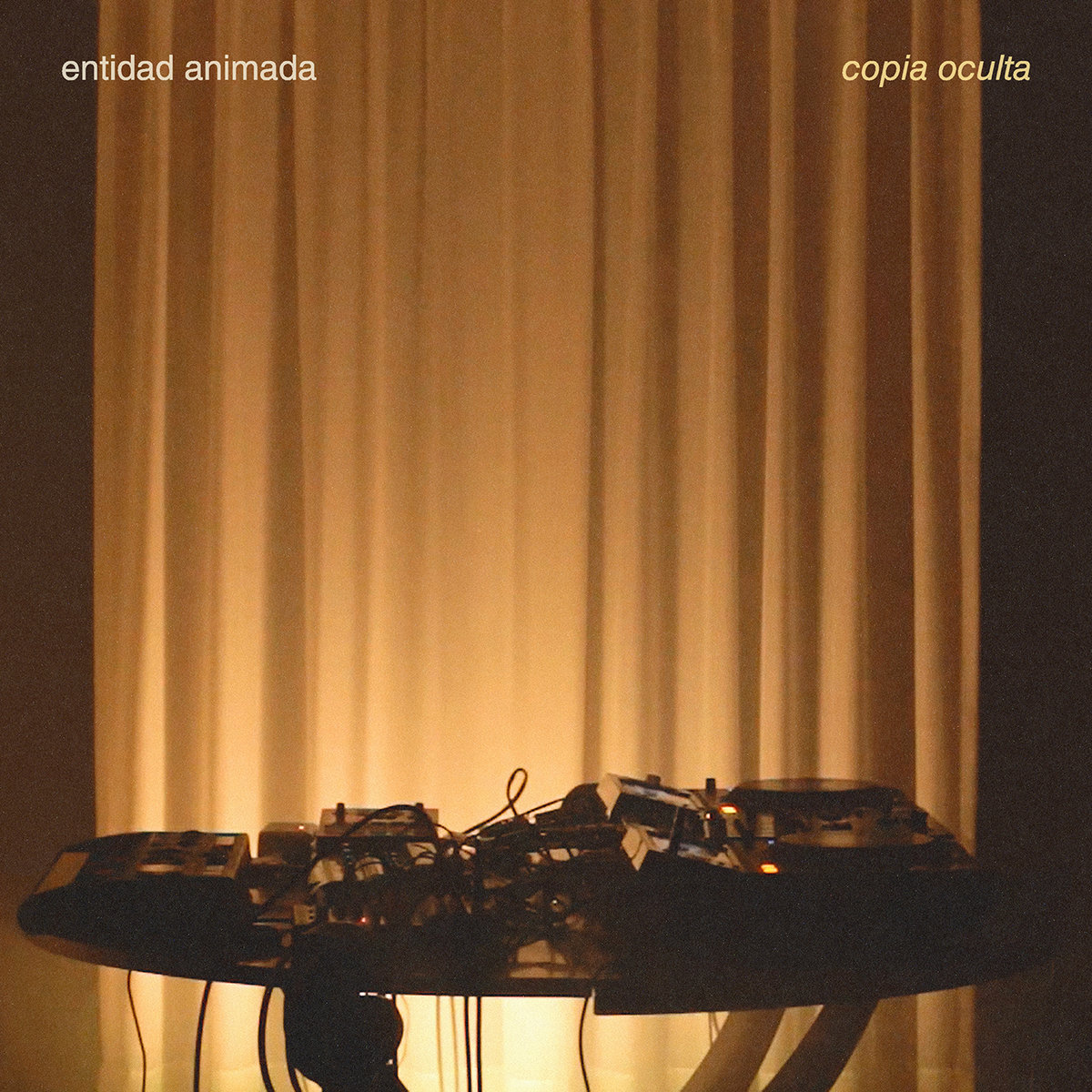 Copia oculta by Entidad Animada (EP, Ambient): Reviews, Ratings ...