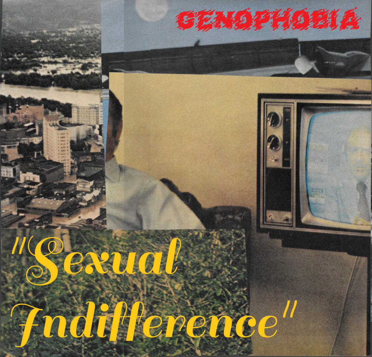 Sexual Indifference by Genophobia (Album): Reviews, Ratings, Credits ...
