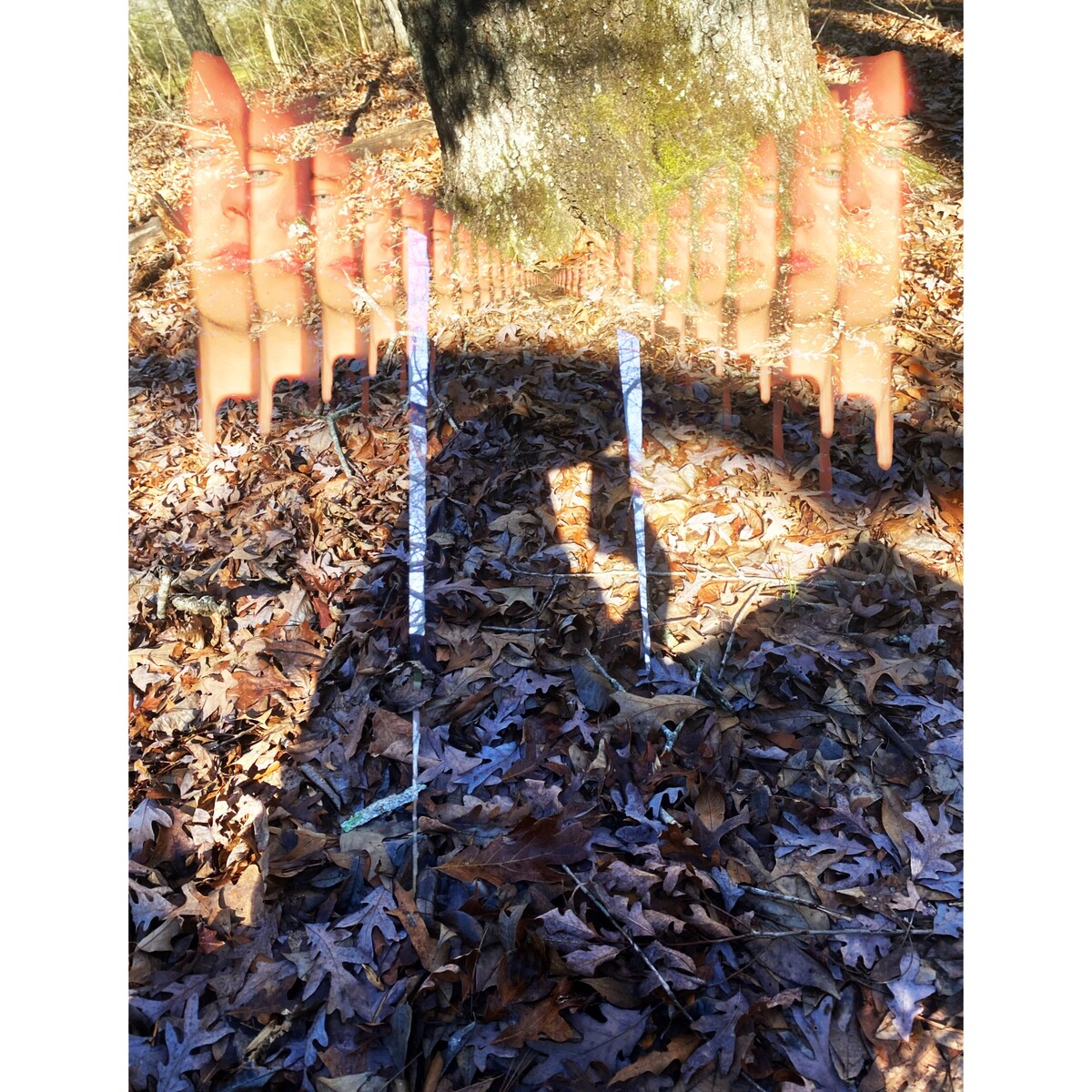 never_had_i_known_the_alluring_scent_was_flesh_and_bone.mp3 by Vivienne ...