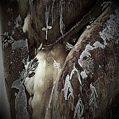 Bangers & Mash by Dan Efex (DJ Mix): Reviews, Ratings, Credits, Song ...