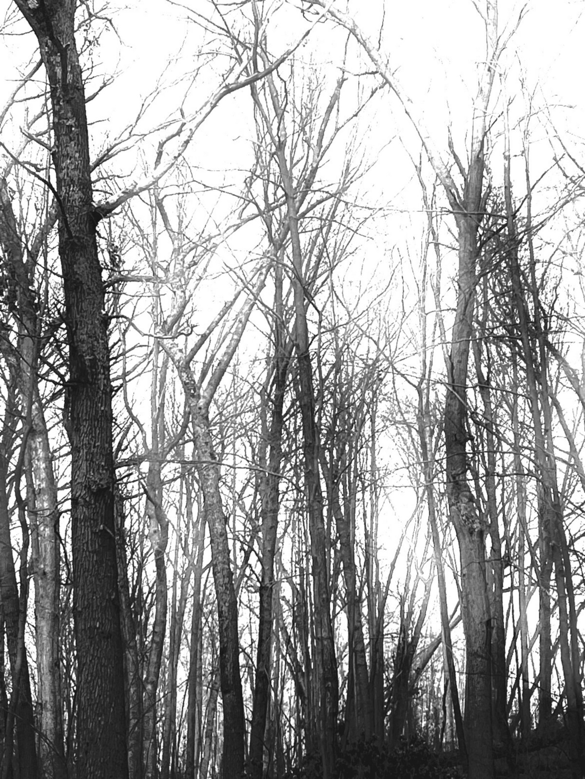 Humming by Tamagokuri (Album; n/a; n/a): Reviews, Ratings, Credits ...