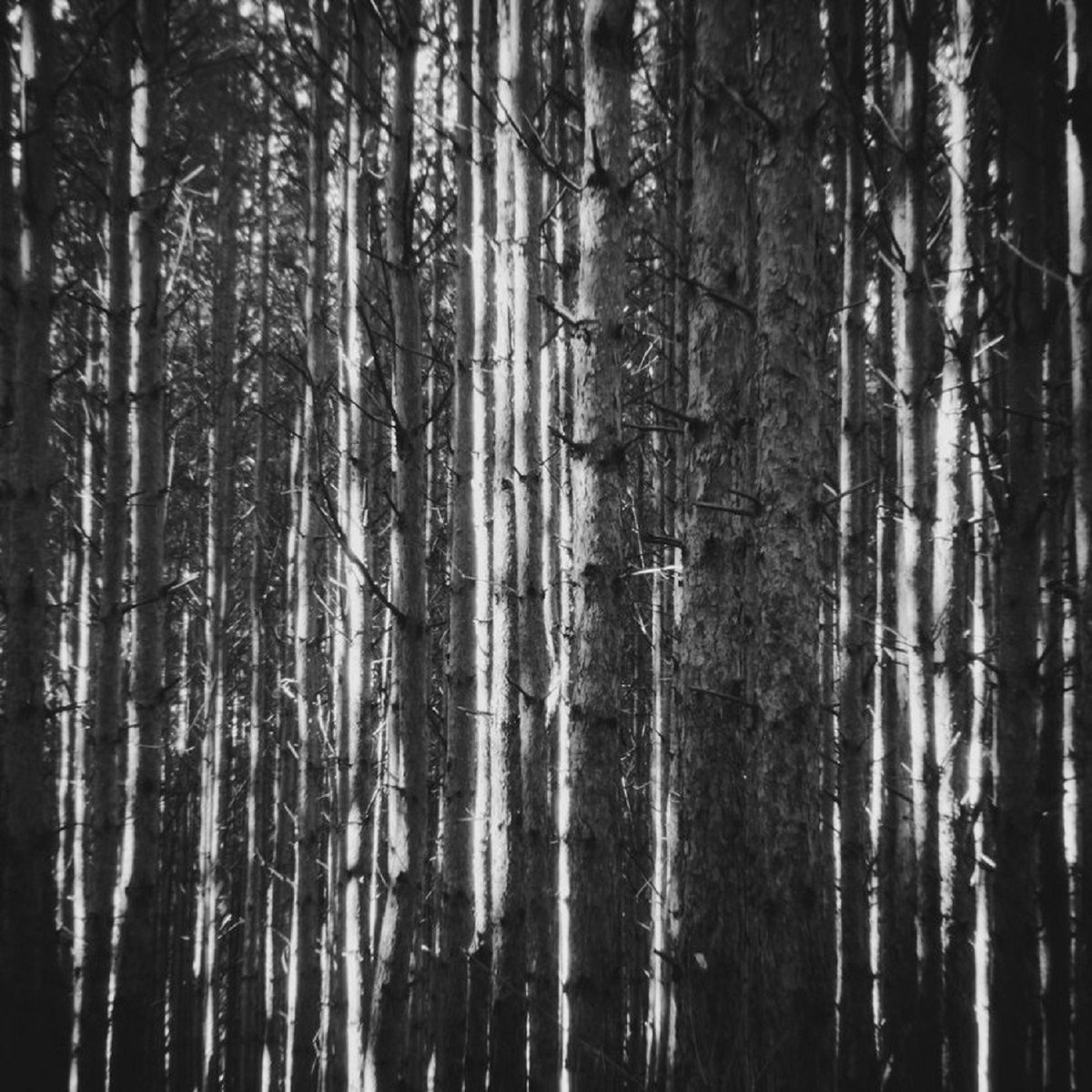 Foundry Report by Sleep Column (EP; Ecran; ec015): Reviews, Ratings ...